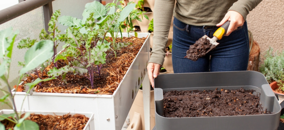 Coco Coir is the secret to a healthy productive worm bin